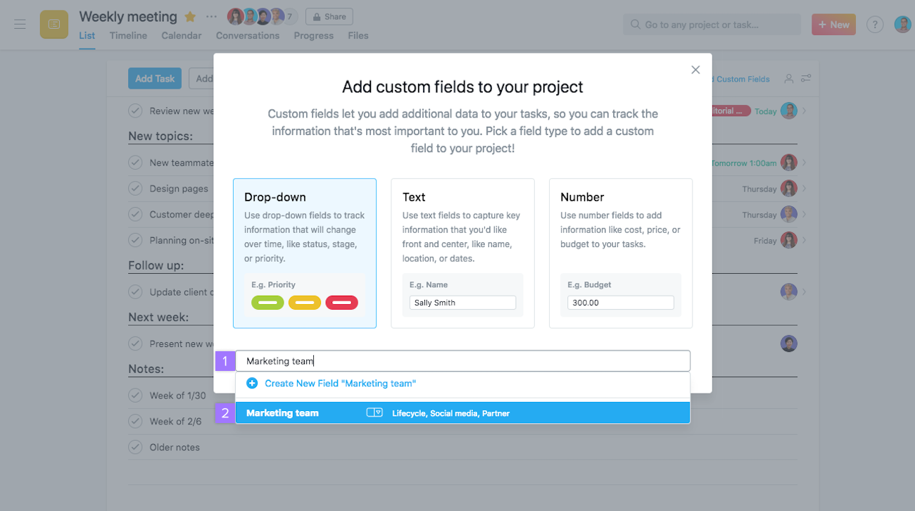 How to use custom fields in Asana | Product guide · Asana